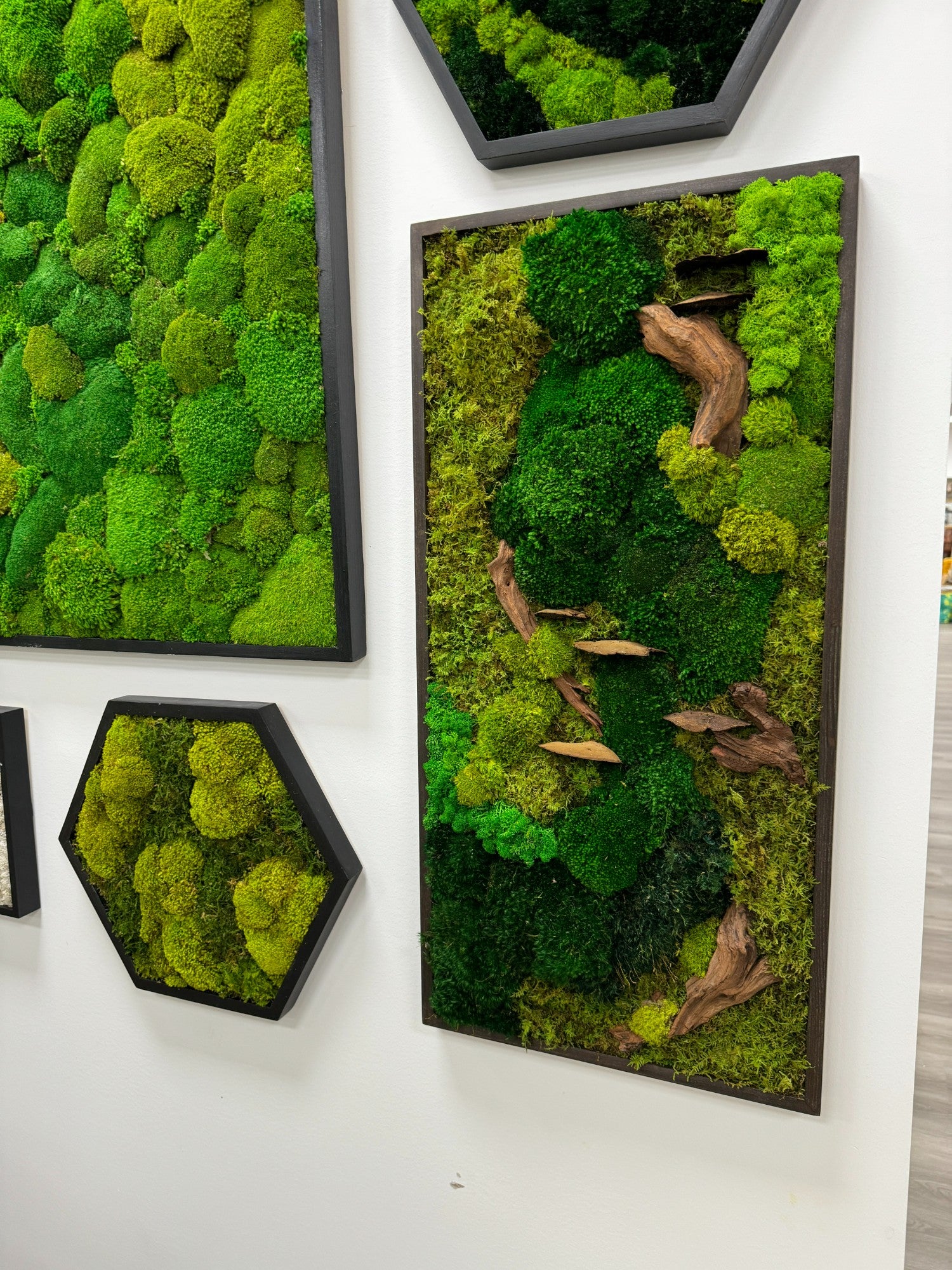 The Moss Shop | Custom Moss Art, Walls & Nature-Inspired Decor