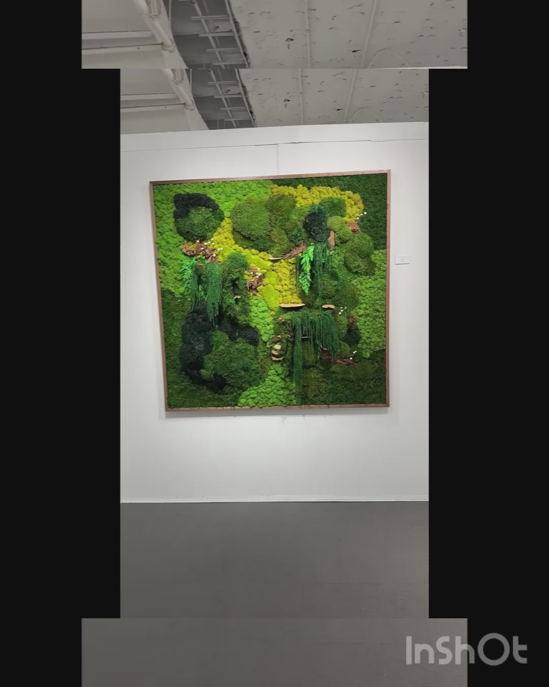 The Moss Shop | Custom Moss Art, Walls & Nature-Inspired Decor